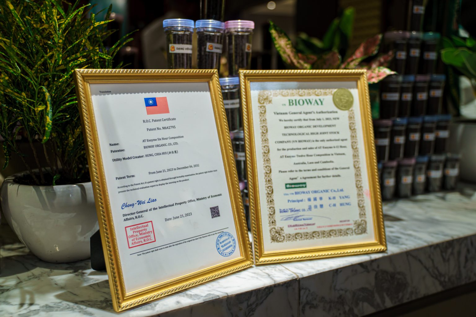 Về chúng tôi – Công ty Cổ phần Phát triển Công nghệ cao New Bioway Organic